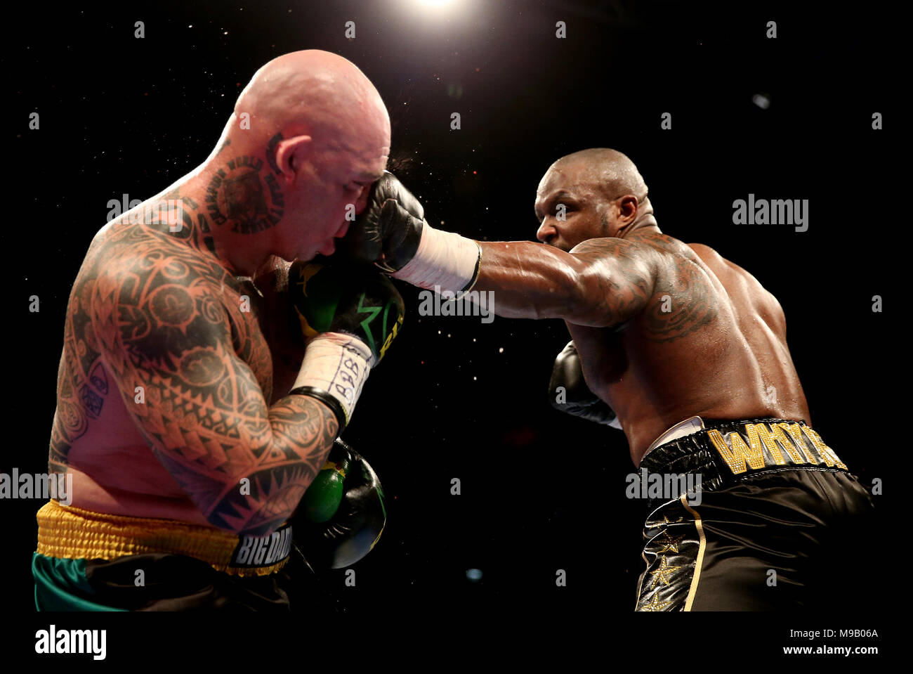 Lucas Browne (left) in action against Dillian Whyte in the WBC Silver ...