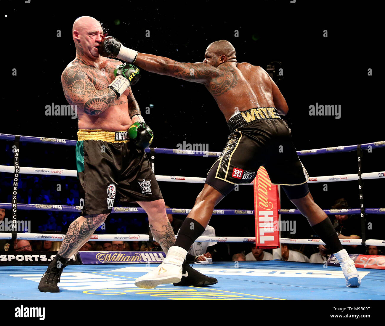 Dillian Whyte (right) in action against Lucas Browne in the WBC Silver ...