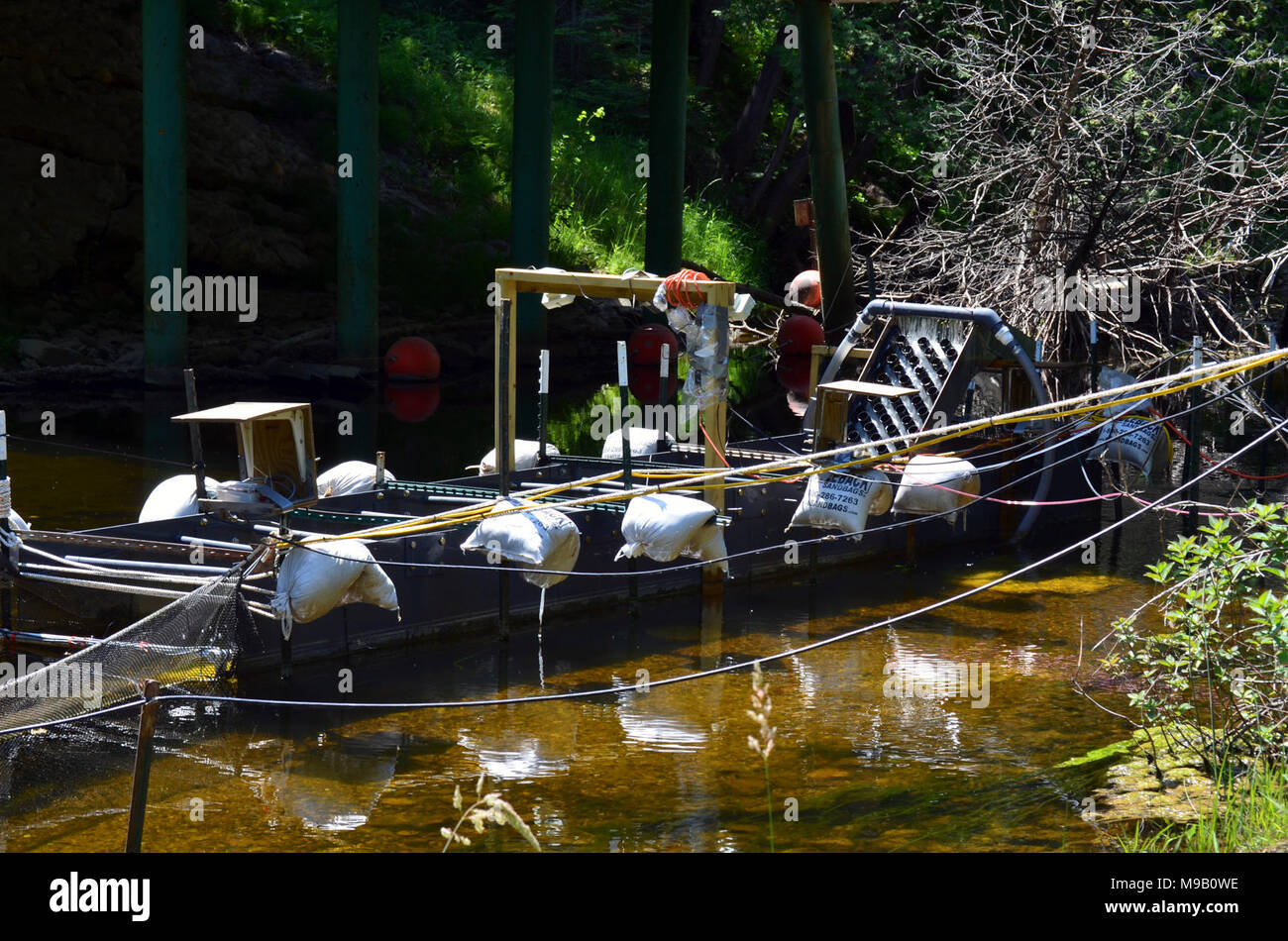 Eel Ladder Research Stock Photo - Alamy