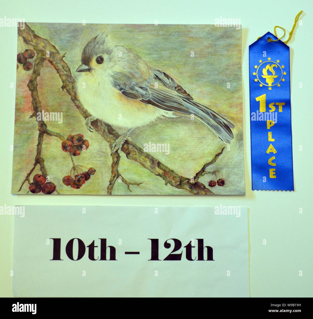 Tufted titmouse habitat hi-res stock photography and images - Alamy