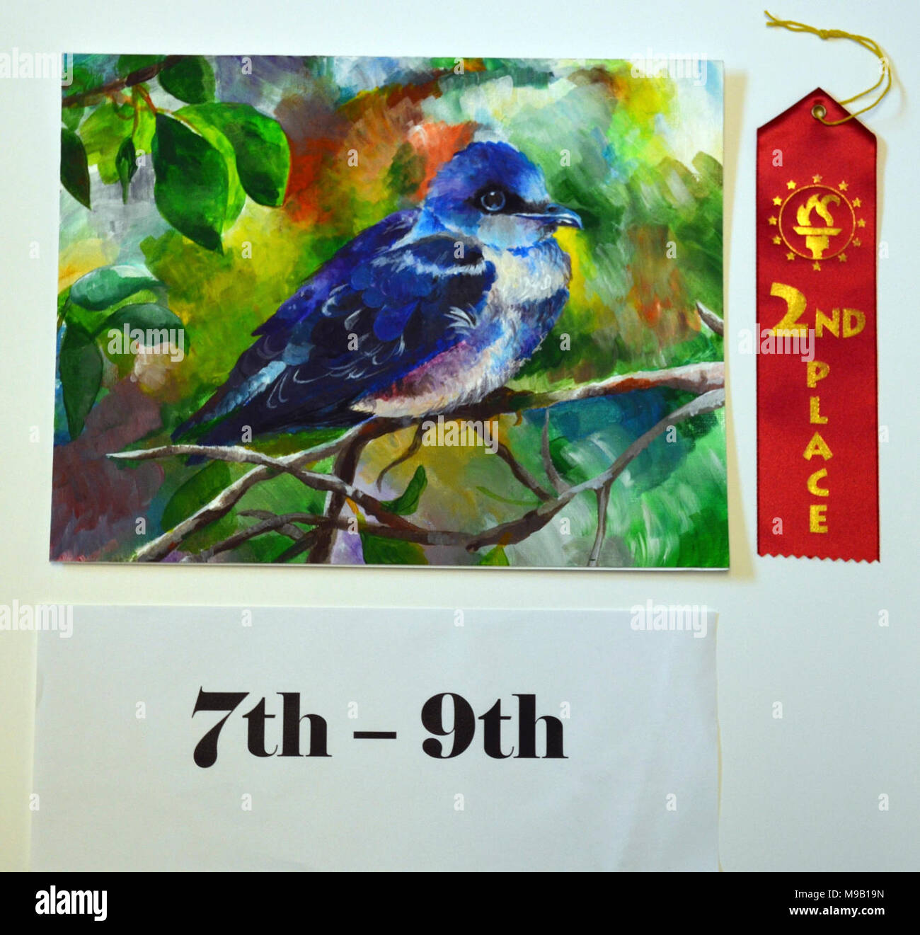 Purple Martin artwork Stock Photo - Alamy