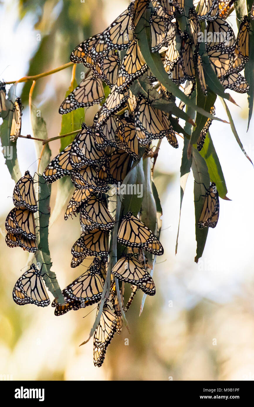 The right spot Stock Photo - Alamy