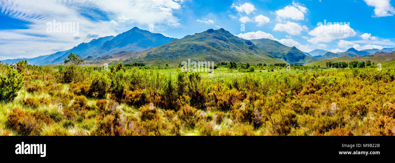 Drakenstein mountains hi-res stock photography and images - Alamy