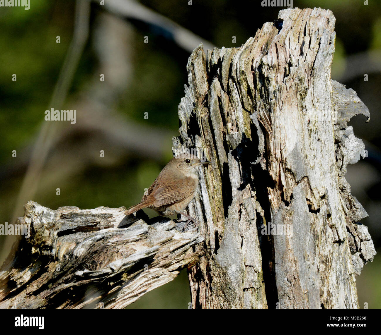 Ingham county michigan hi-res stock photography and images - Alamy