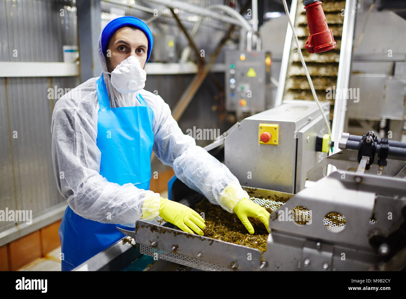 Seafood factory staff Stock Photo - Alamy