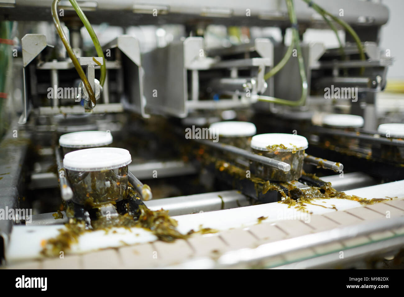 Packing seaweed salad Stock Photo - Alamy