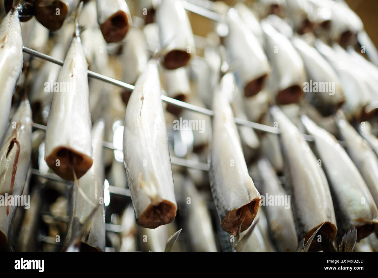 Fish to process Stock Photo - Alamy