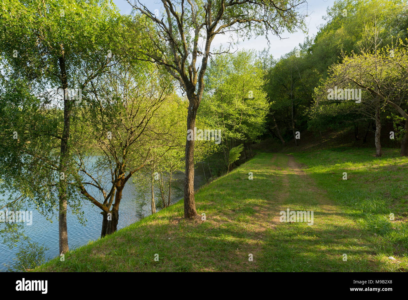 The holly pit in Cabarceno, Cantabria, Spain Stock Photo - Alamy