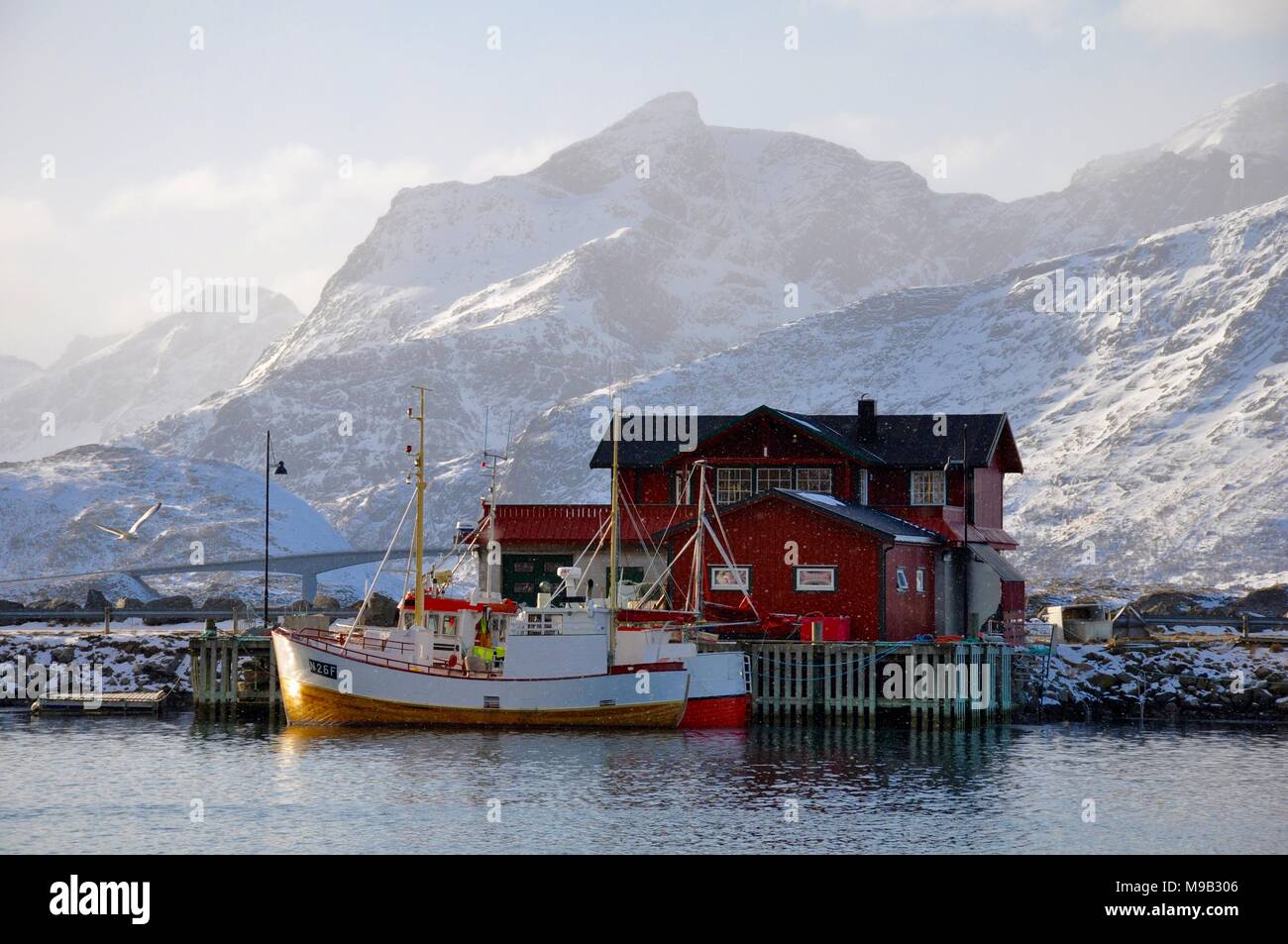 Lofoten red house hi-res stock photography and images - Alamy