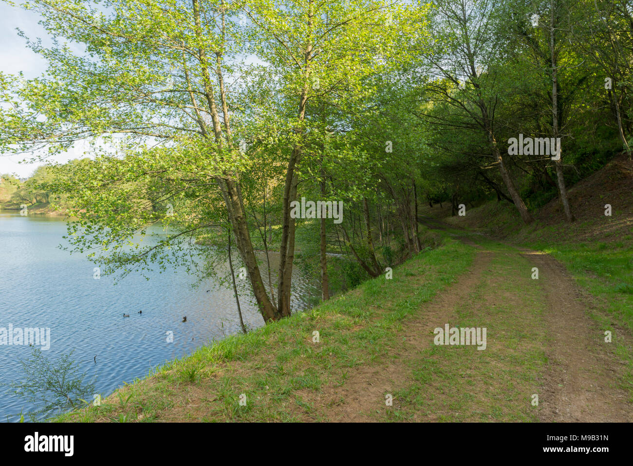 The holly pit in Cabarceno, Cantabria, Spain Stock Photo - Alamy