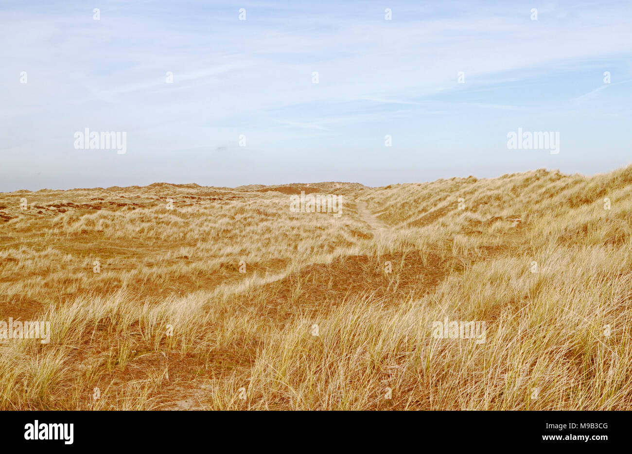 Grey dunes hi-res stock photography and images - Alamy