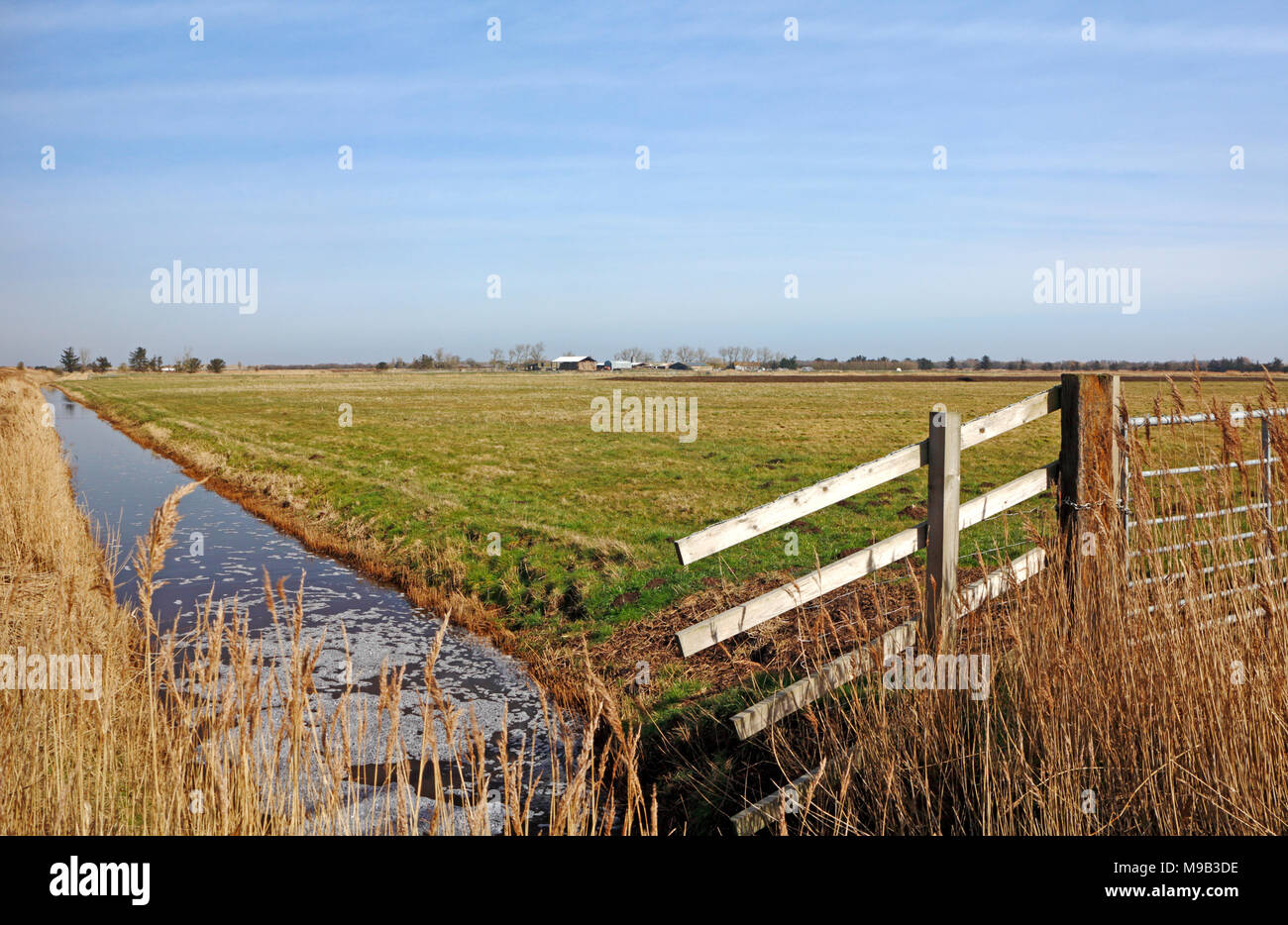A view of farmland and grazing marshes on the Norfolk Broads at Horsey ...