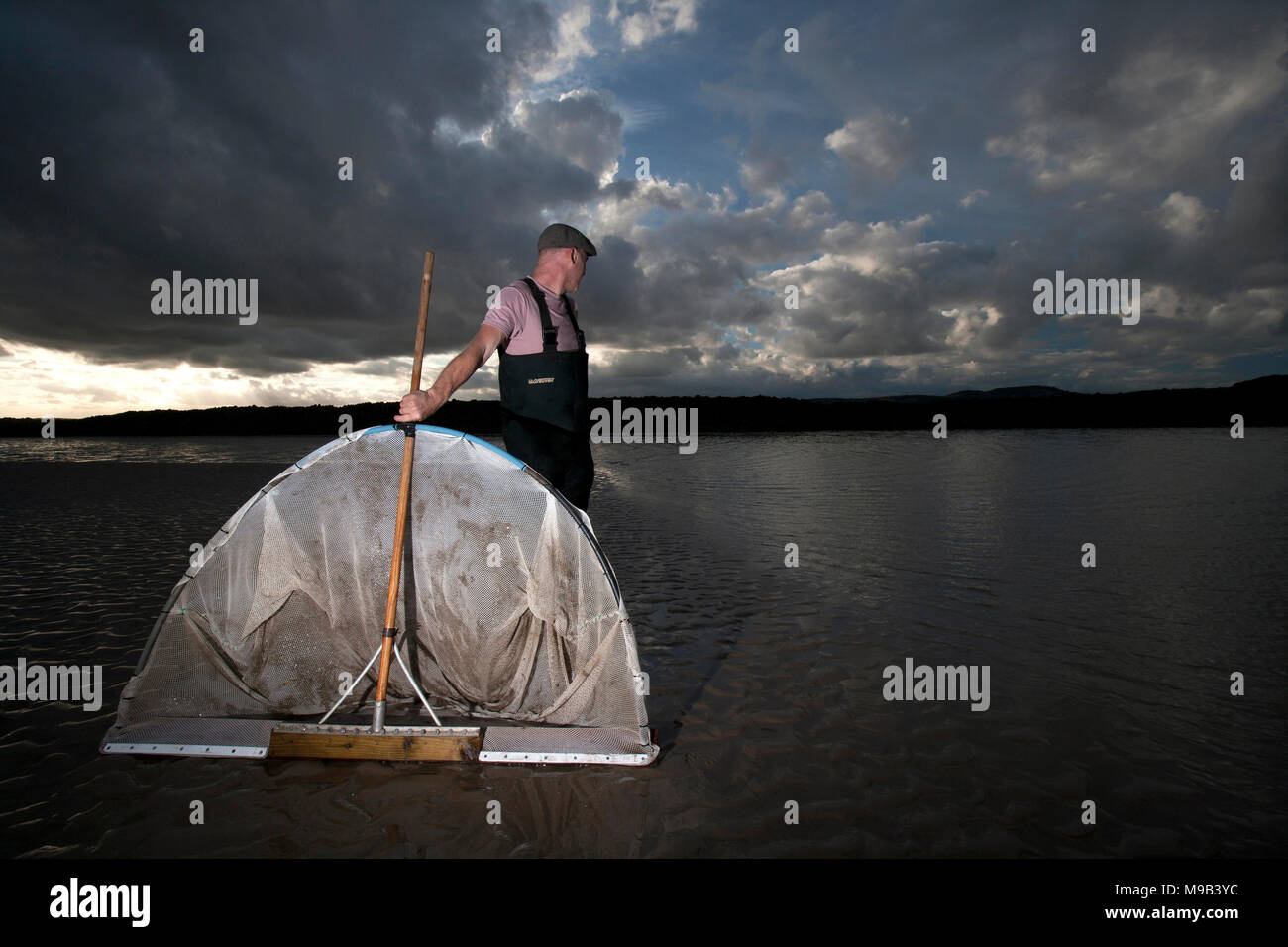 Push netting hi-res stock photography and images - Alamy