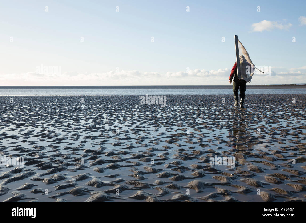 Push netting hi-res stock photography and images - Alamy