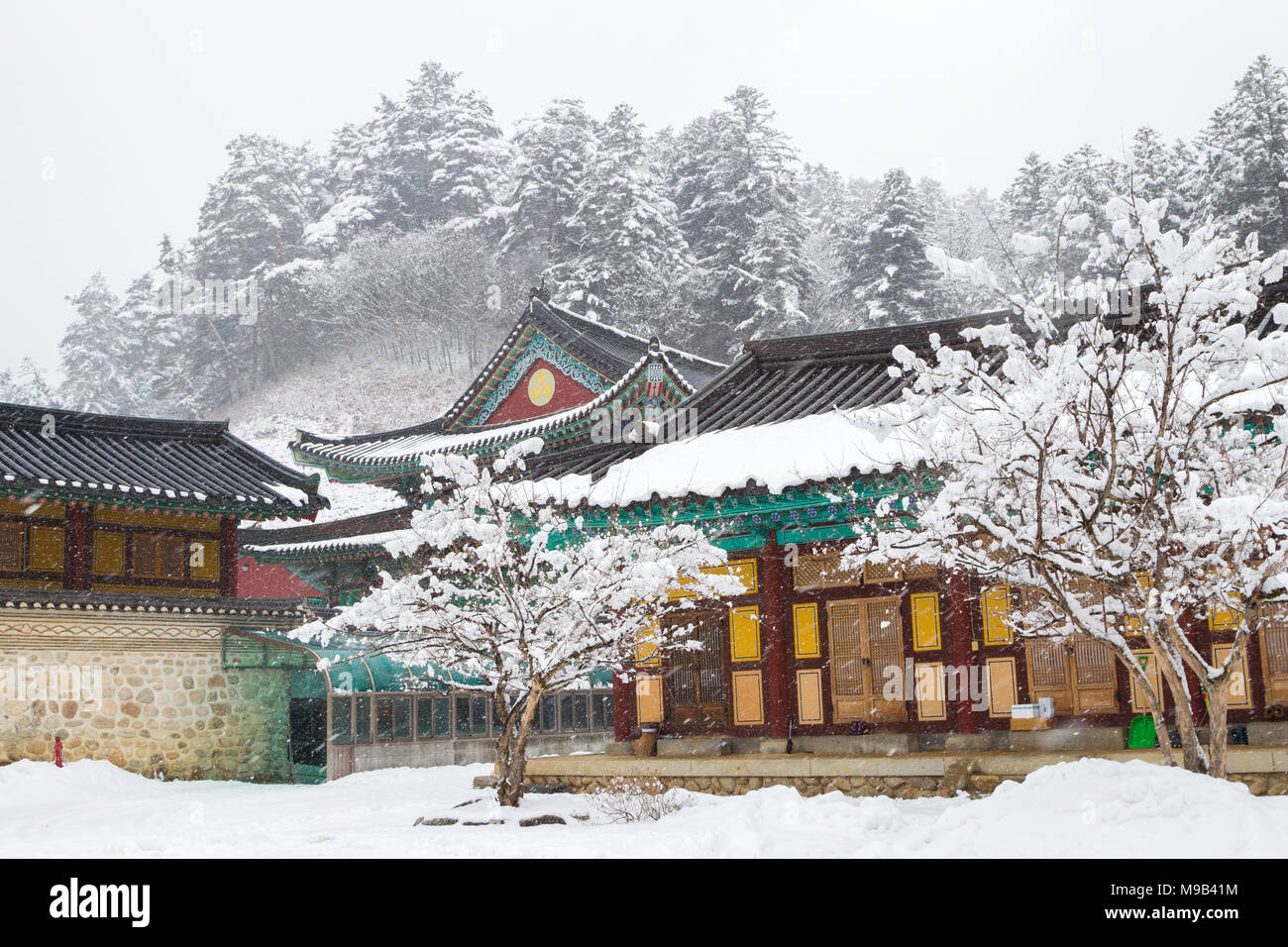 Asian temple Odaesan Woljeongsa with snow in Korea Stock Photo - Alamy