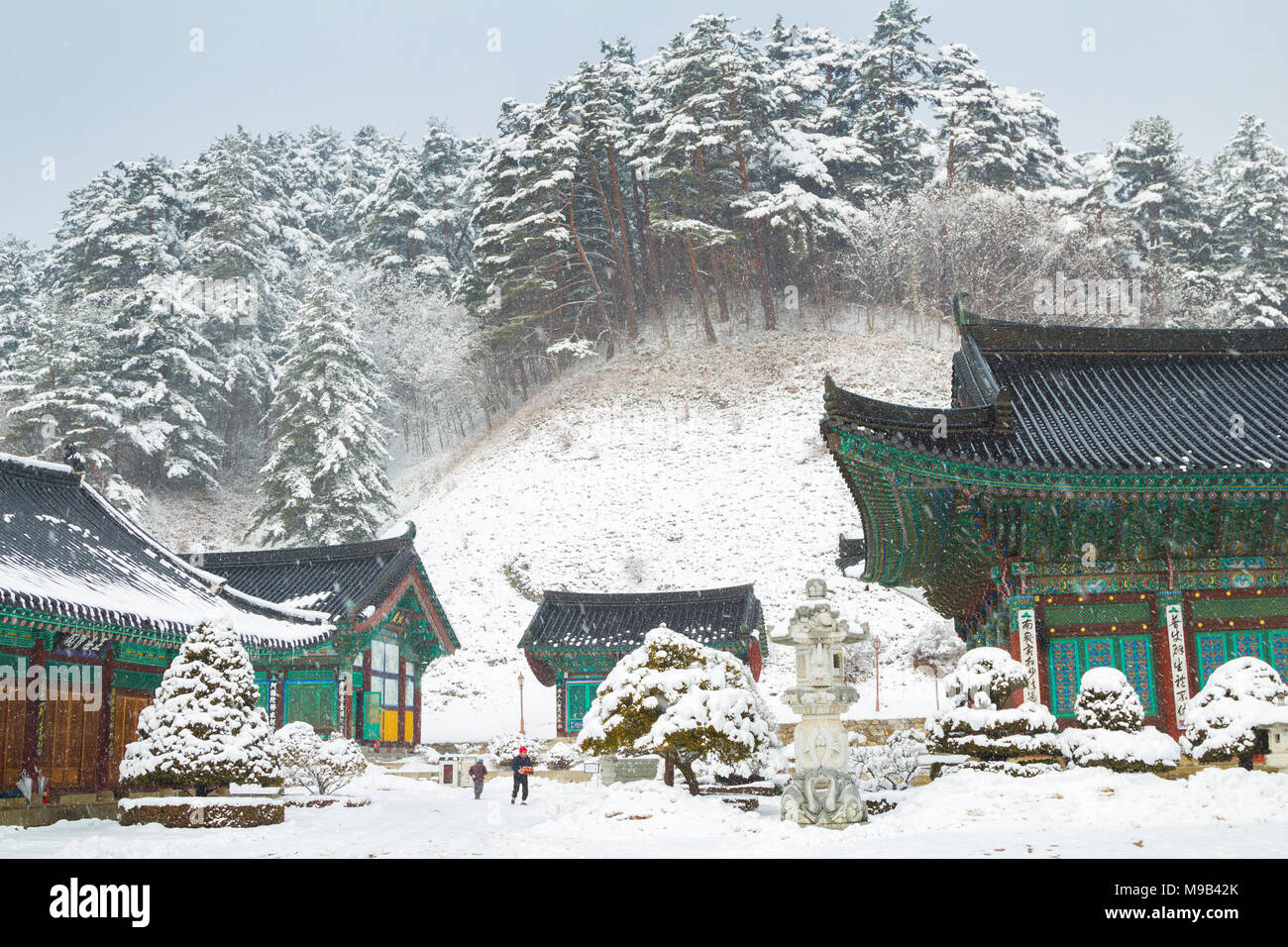 Odaesan national park temple hi-res stock photography and images - Alamy