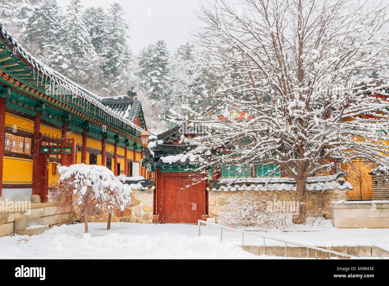 Korea woljeongsa temple hi-res stock photography and images - Alamy