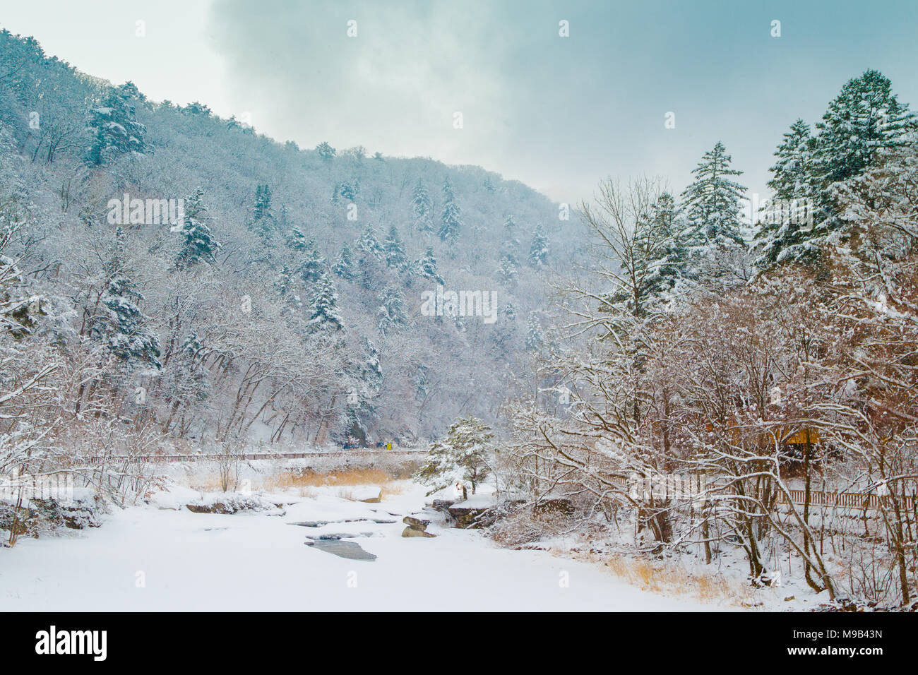 winter landscape with snow covered trees and frozen valley Stock Photo ...