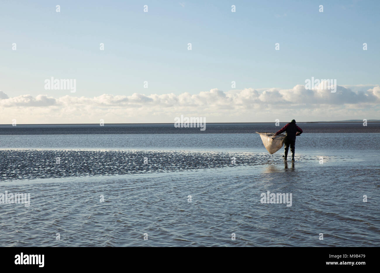 Morecambe bay brown shrimps hi-res stock photography and images - Alamy