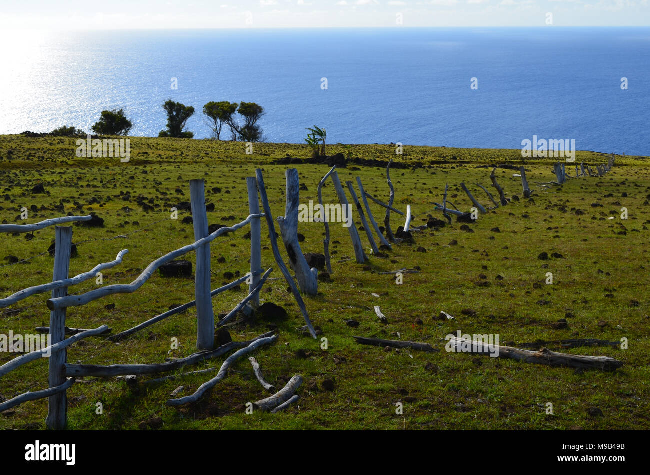 Sea view from the slopes of Terevaka volcano, Rapa Nui (Easter Island ...