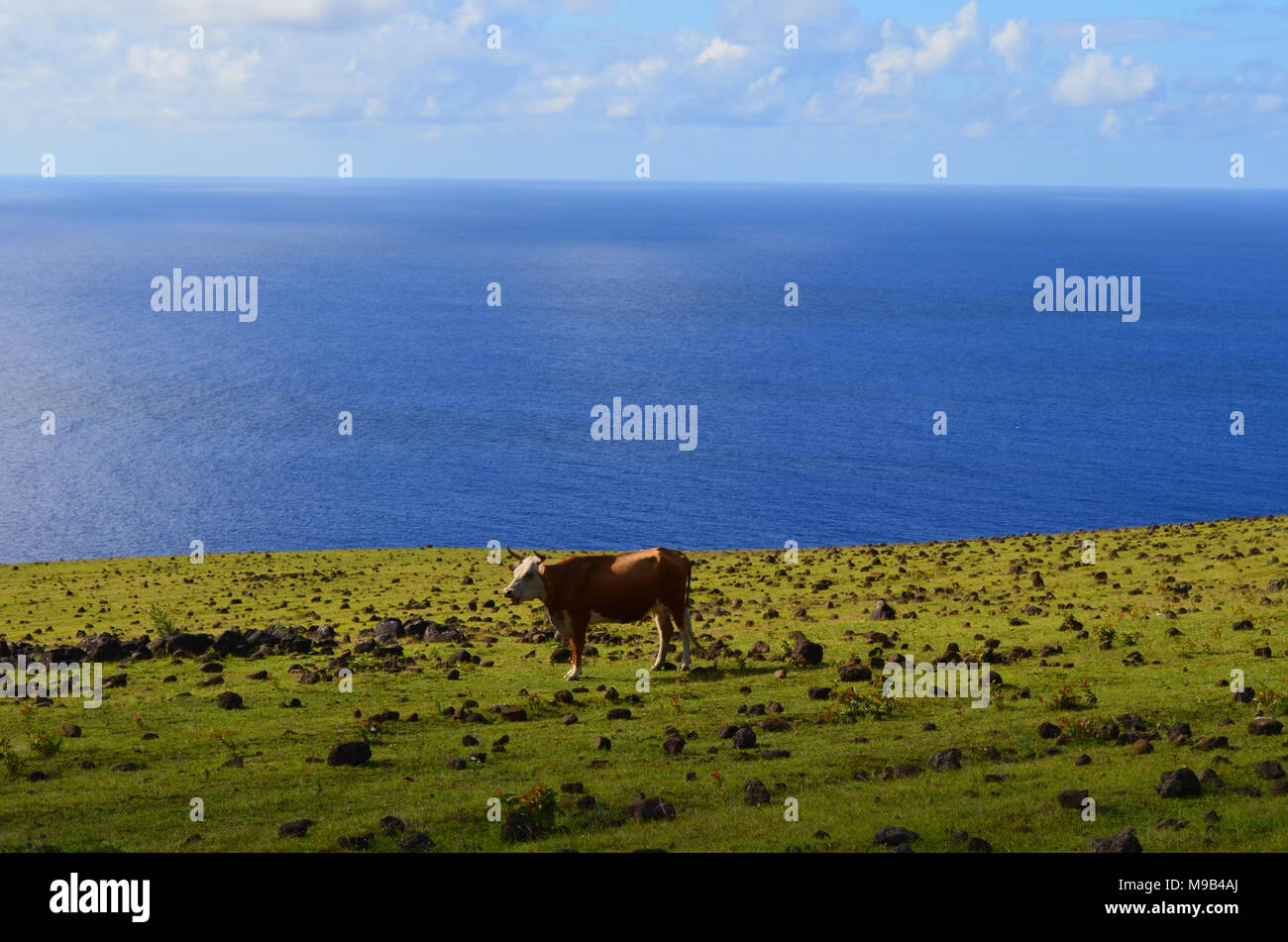 Sea view from the slopes of Terevaka volcano, Rapa Nui (Easter Island ...