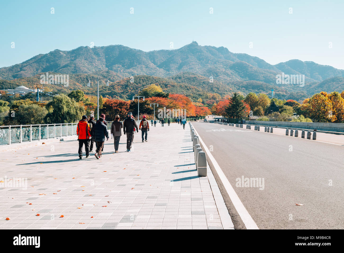 Autumn maple tree street in Seoul grand park, Korea Stock Photo - Alamy