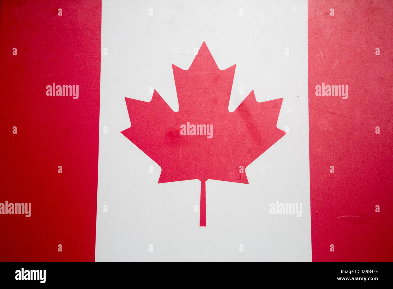 The flag of Canada also called the Maple Leaf Stock Photo - Alamy