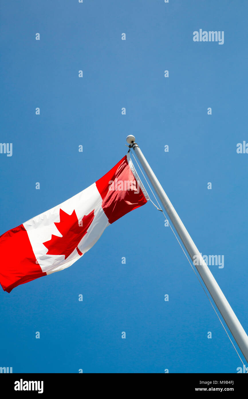 The flag of Canada also called the Maple Leaf Stock Photo - Alamy