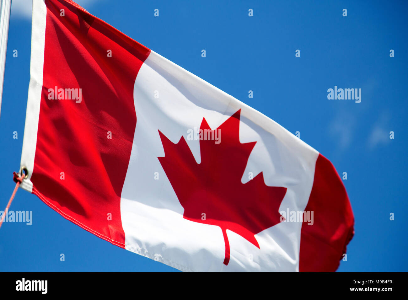 The flag of Canada also called the Maple Leaf Stock Photo - Alamy