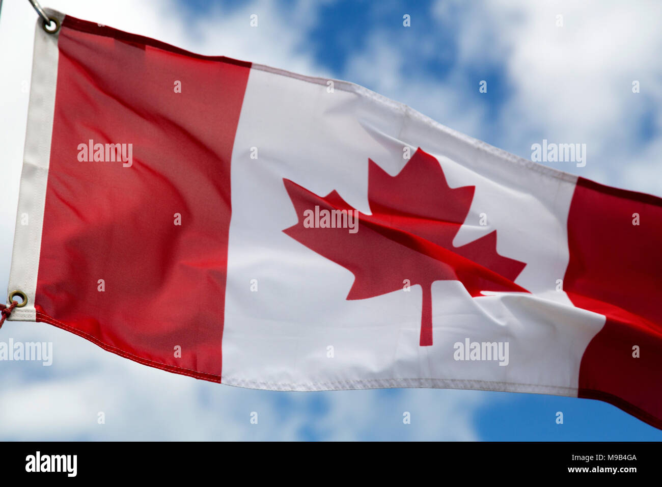 The flag of Canada also called the Maple Leaf Stock Photo - Alamy