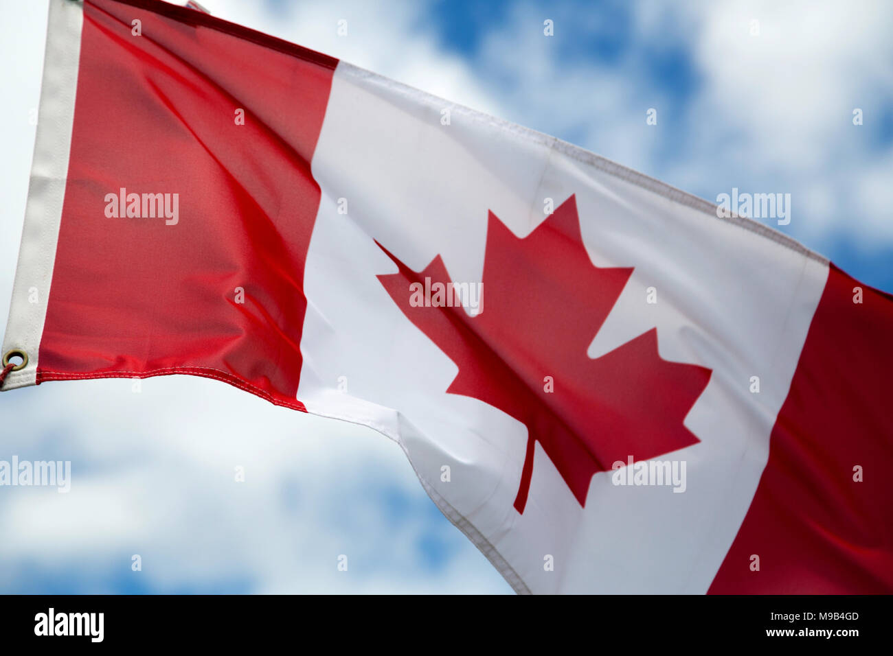 The flag of Canada also called the Maple Leaf Stock Photo - Alamy