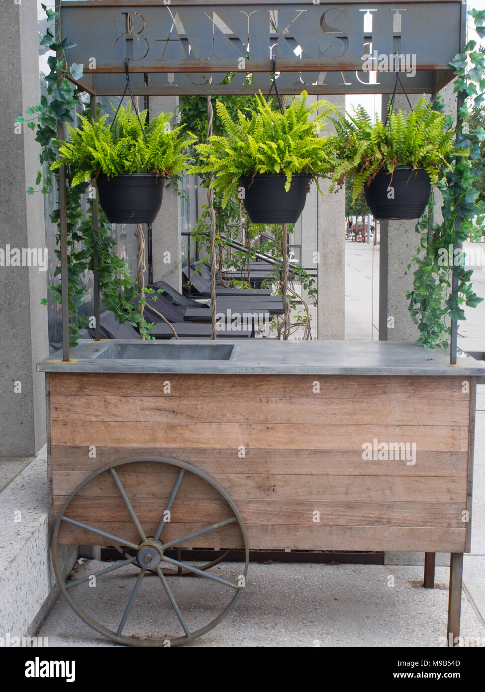Hanging Pot Plants On A Cart Stock Photo - Alamy