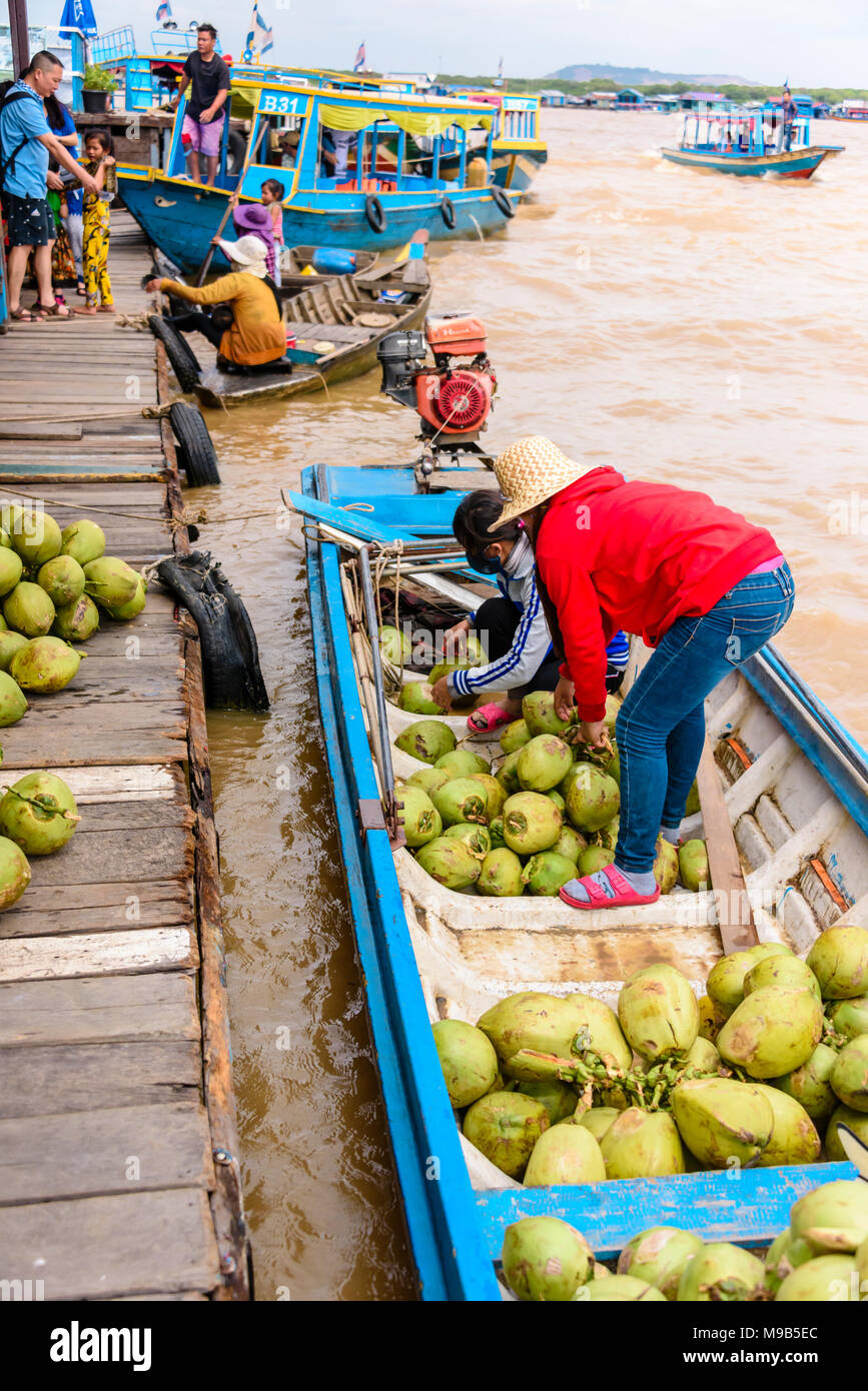 Women offload their cargo of coconuts from their wooden motorboat on ...