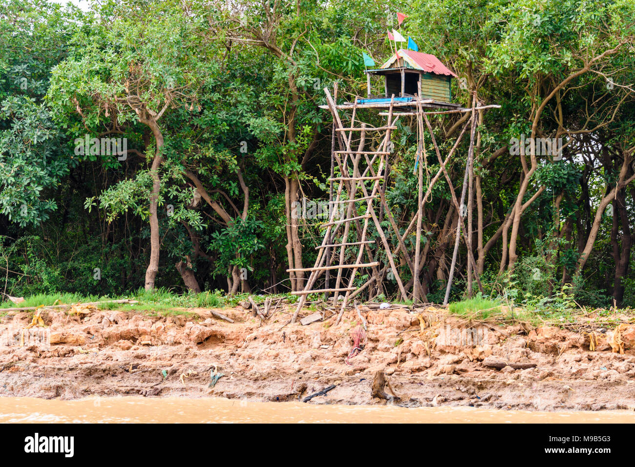 Corrugated iron hut on the top of a tall platform made from bamboo and ...