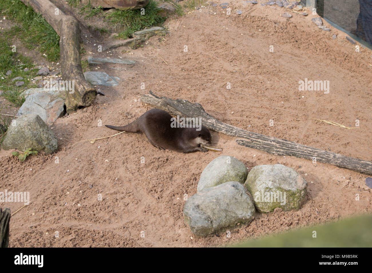 Marton mere hi-res stock photography and images - Alamy