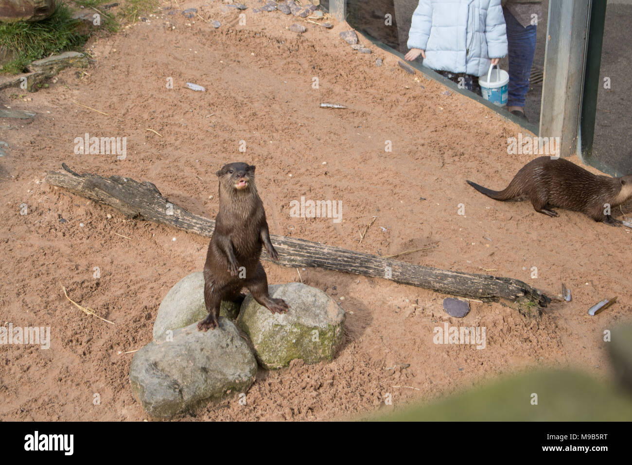 Marton mere lake hi-res stock photography and images - Alamy