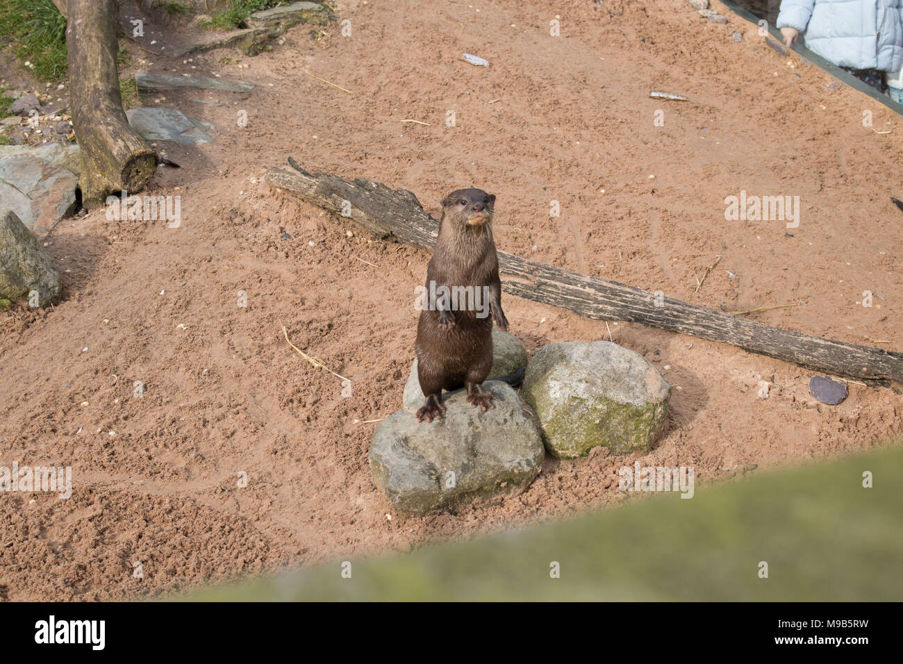 Marton Mere High Resolution Stock Photography and Images - Alamy