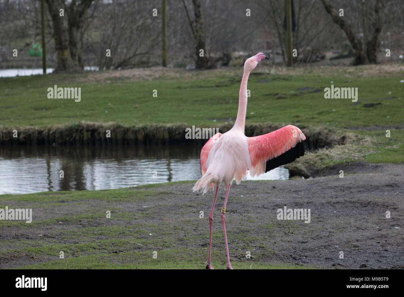 Marton mere lake hi-res stock photography and images - Alamy