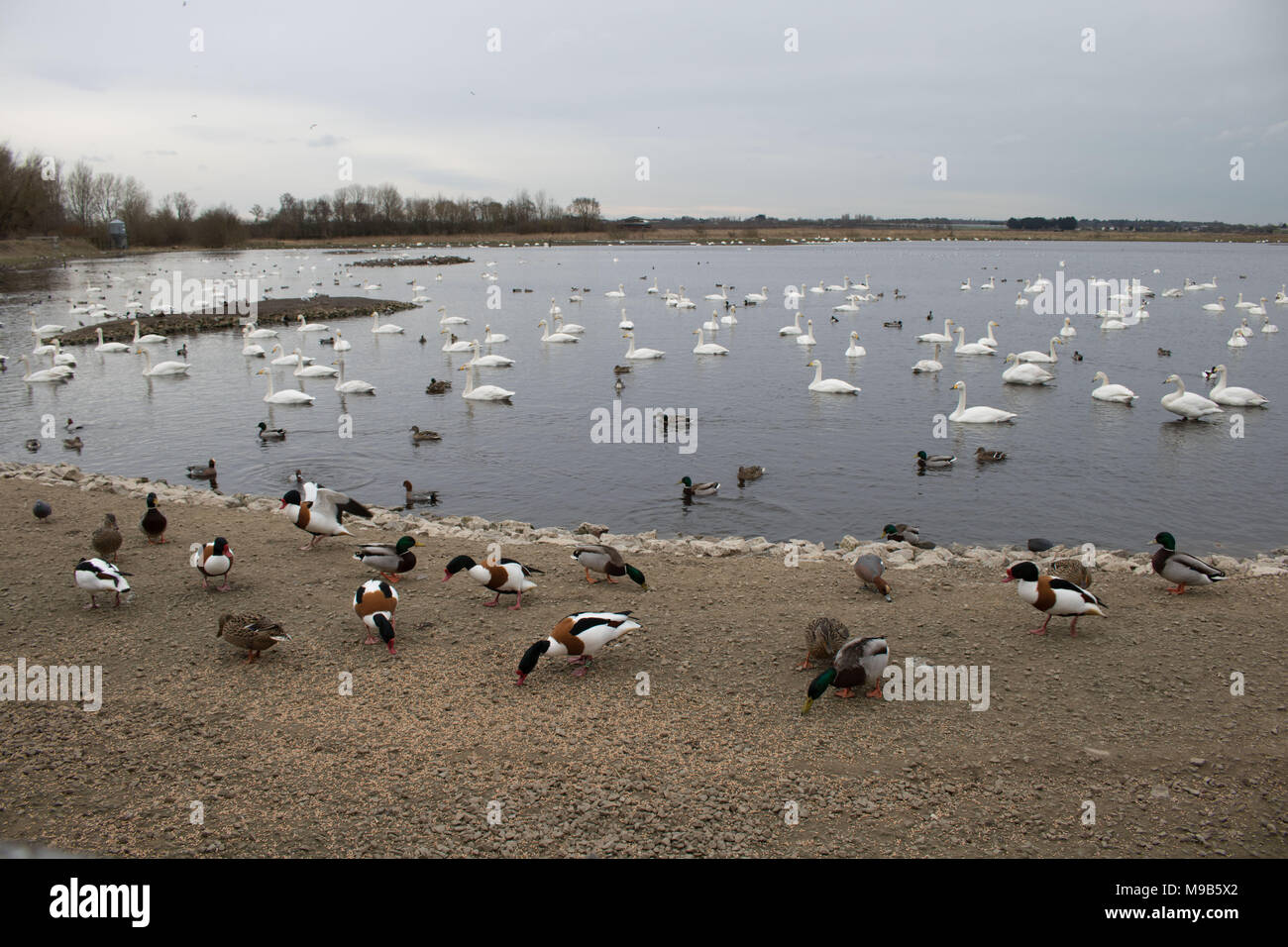 Marton mere lake hi-res stock photography and images - Alamy