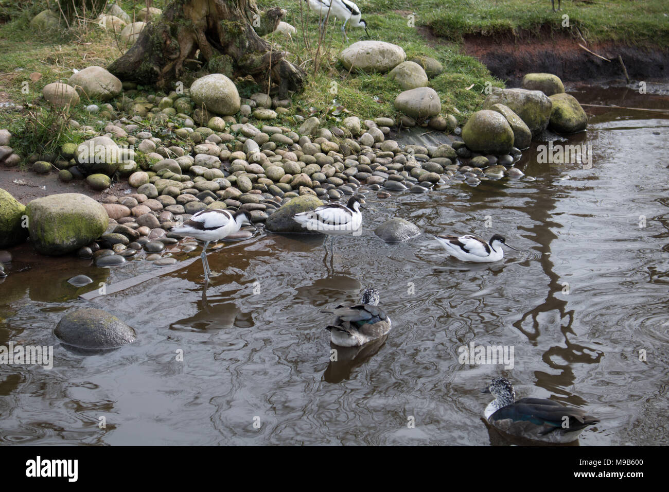 Marton mere hi-res stock photography and images - Alamy