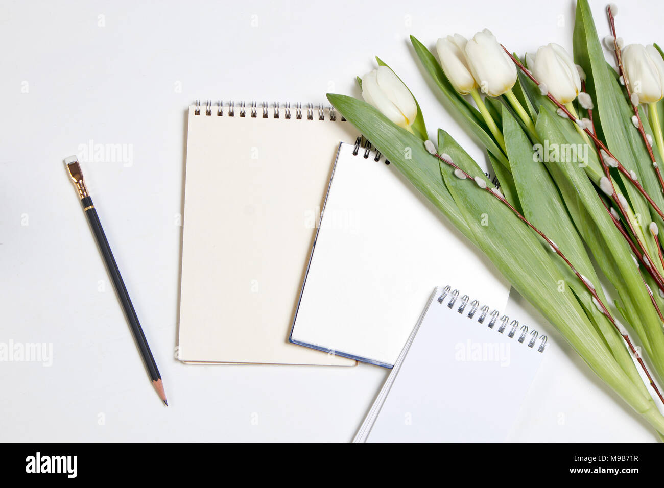 White note pad in a frame of white tulips with a willow Stock Photo - Alamy