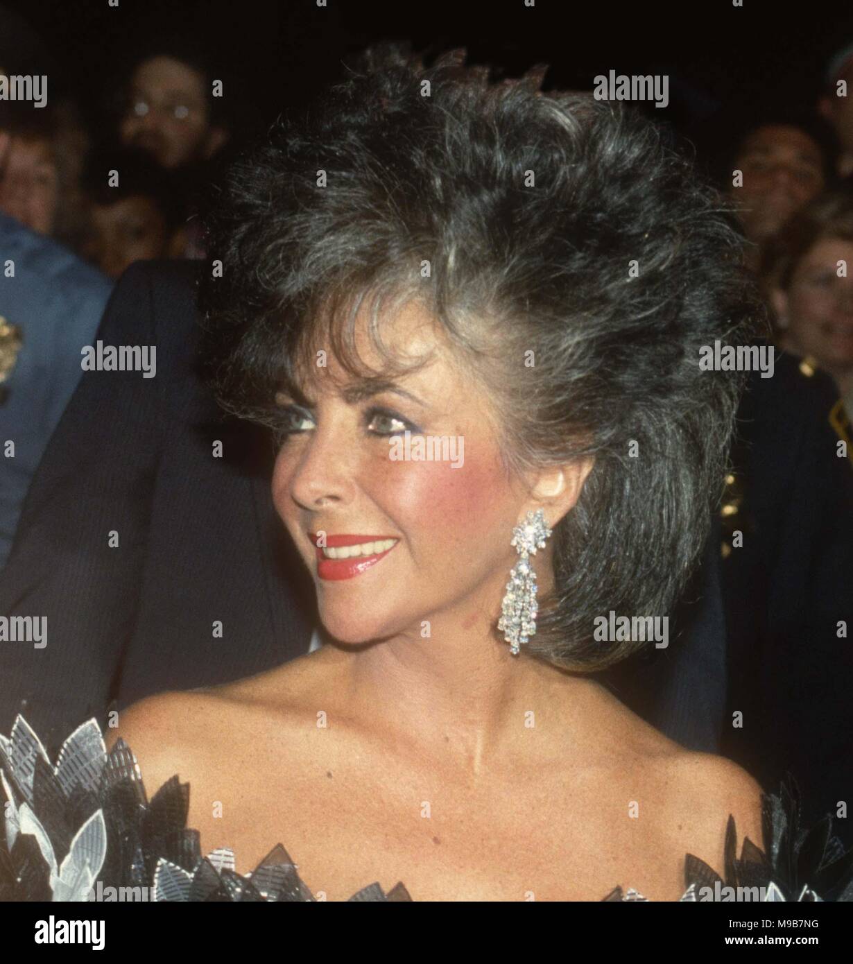 Elizabeth Taylor 1979 Photo By John Barrett/PHOTOlink Stock Photo - Alamy