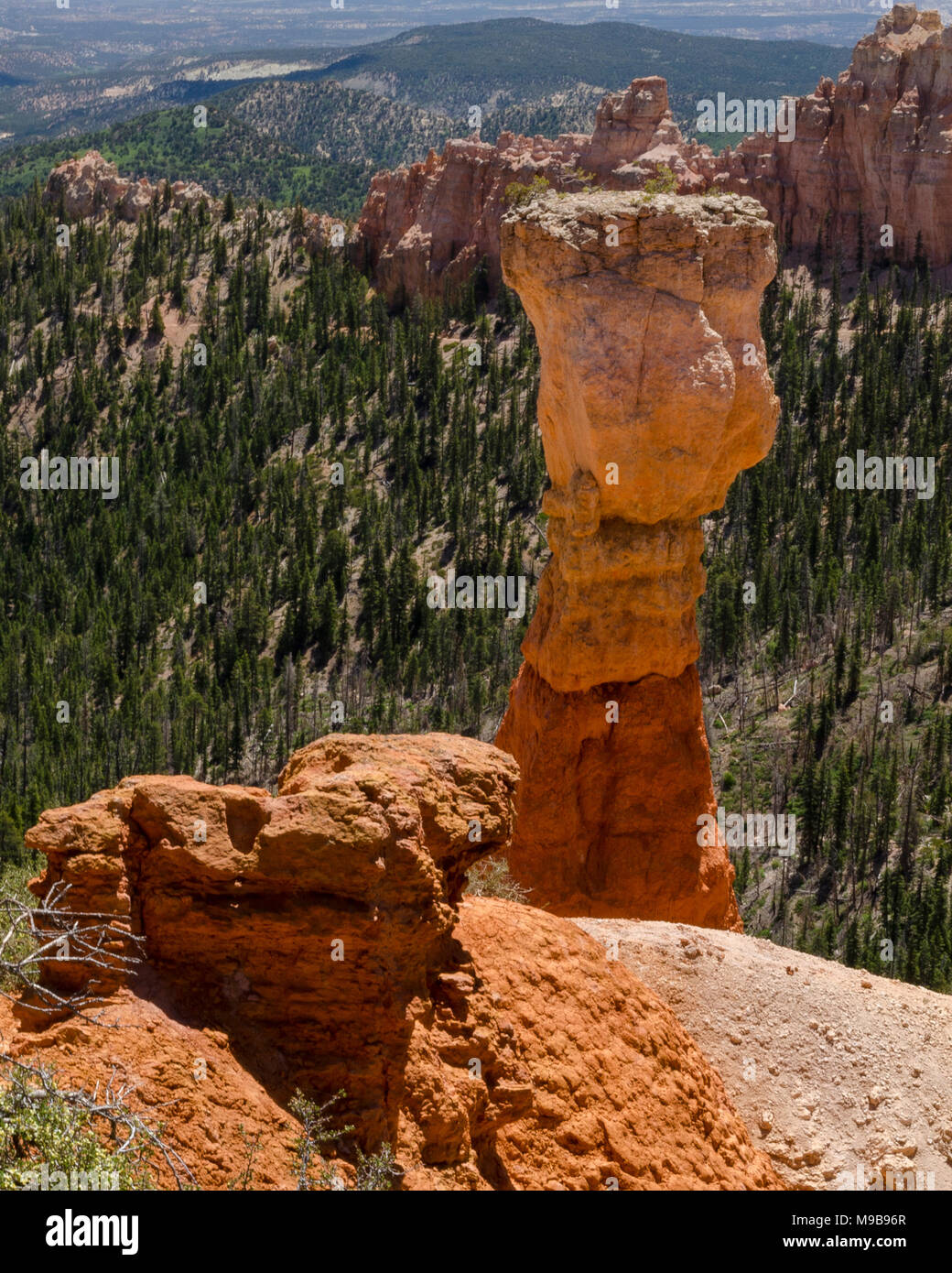 Bryce view hi-res stock photography and images - Alamy