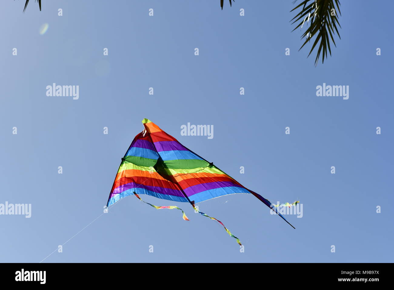 kite in flight in the blue sky near the beachfront Stock Photo - Alamy