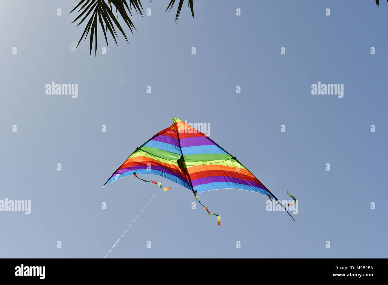 kite in flight in the blue sky near the beachfront Stock Photo - Alamy