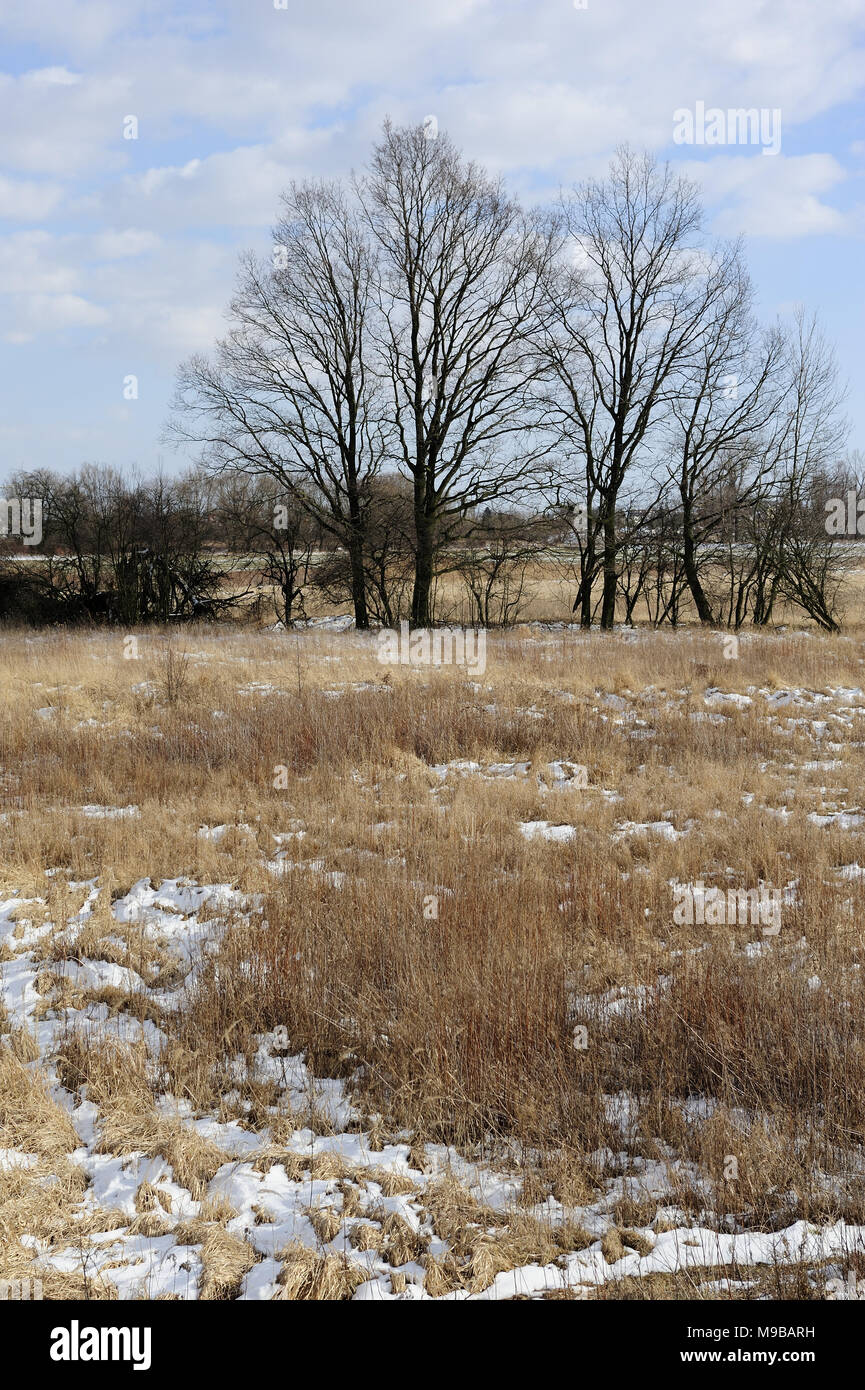 mystery, natural, nature, outdoor, root, scene, season, spooky, tree ...