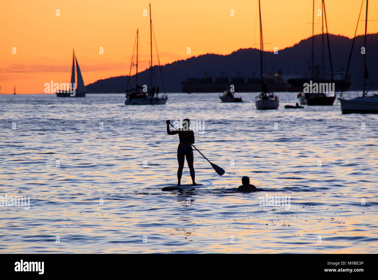 standing paddling in the beautiful sunset Stock Photo - Alamy