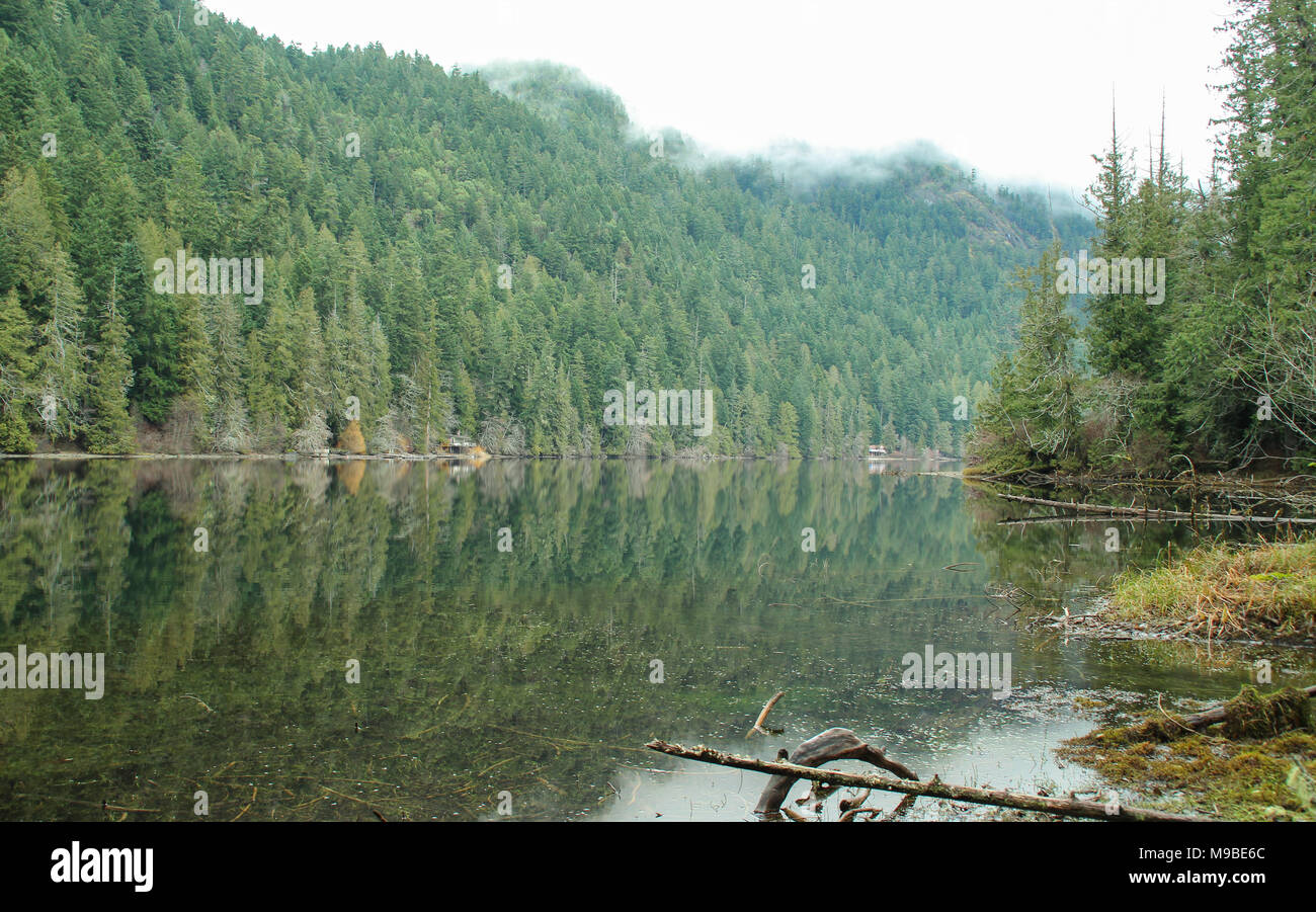 Calm and peaceful lake with reflection Stock Photo - Alamy