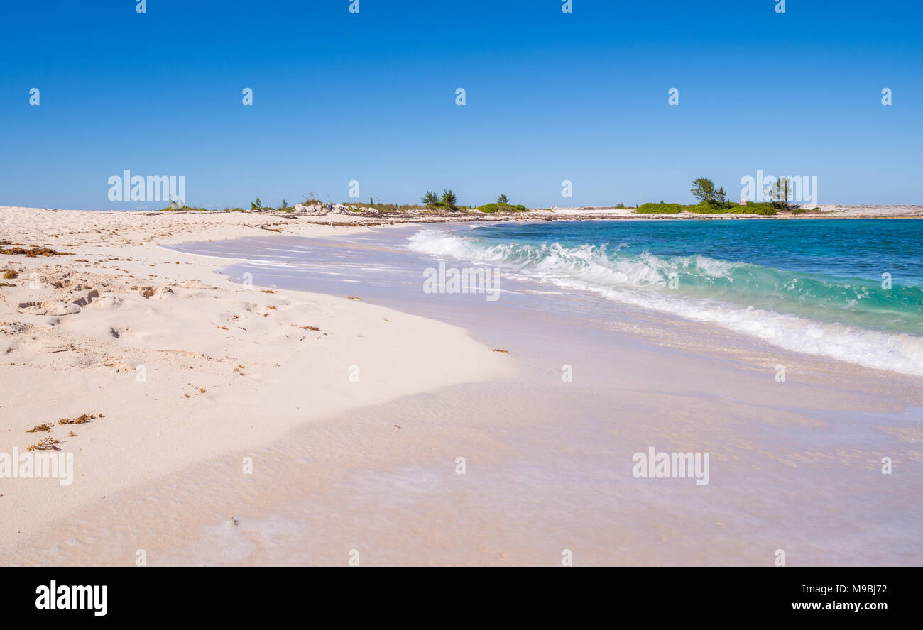 Pink Sand Bahamian Beach on low tide featuring beach with fluffy pink ...