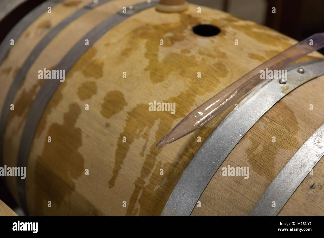 A wine thief used for tasting wine aging in barrels on an open oak ...